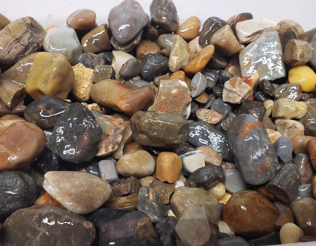 Aquarium Pebbles / Gravel Substrate 1 5lbs 10lbs 20lbs 30lbs 45lbs - Etsy