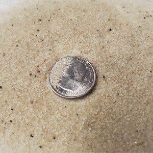 White Sand Natural Aquarium Coarse Substrate 10lbs 25lbs 35lbs 45lbs - Etsy