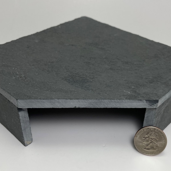 Reptile Slate - Etsy