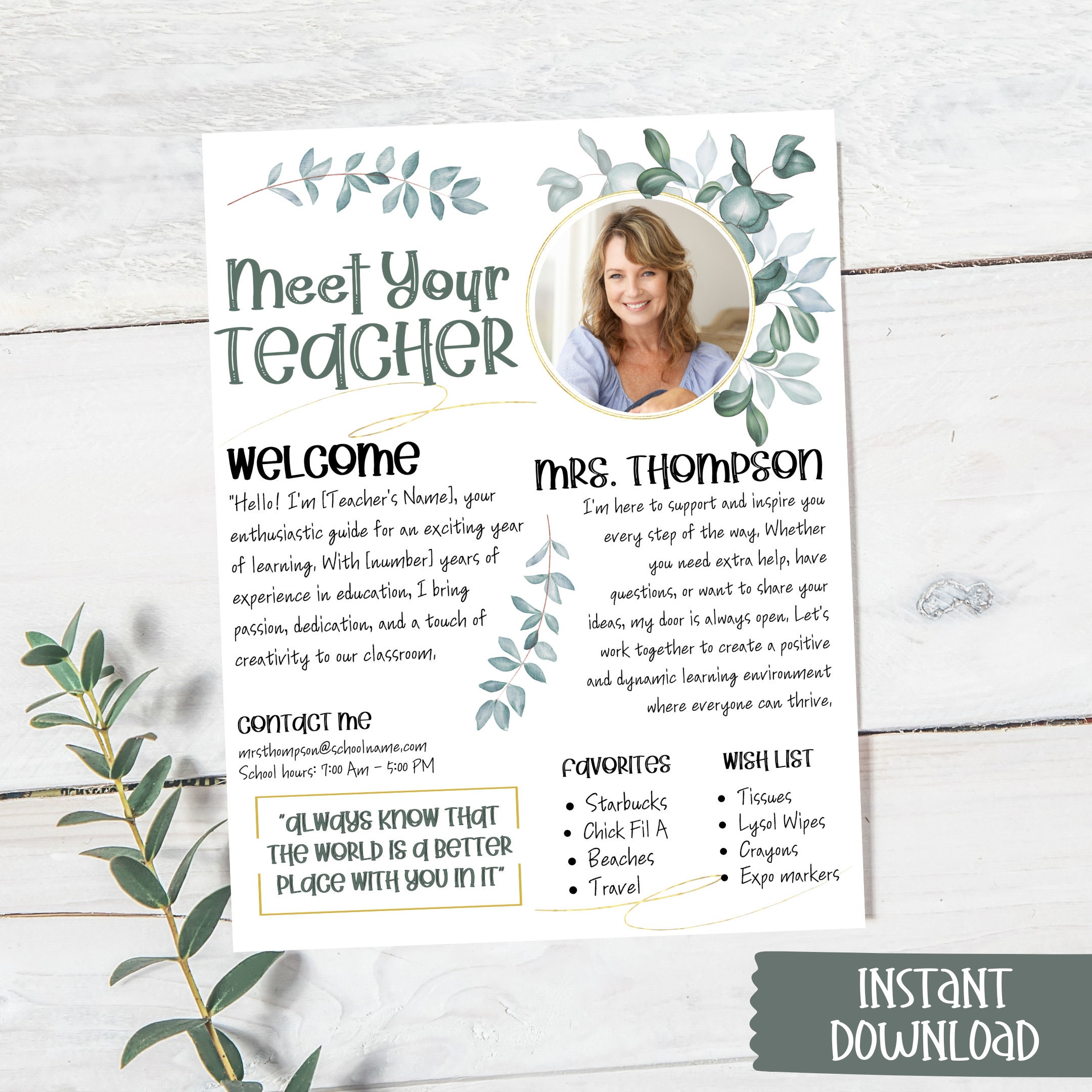 Meet the Teacher | Teacher Template | Back to School Flyer | Teacher ...