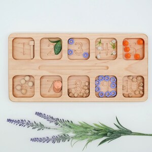 Sorting Board, Montessori Tray, Sorting Toy, Fine Motor Skills Toys ...