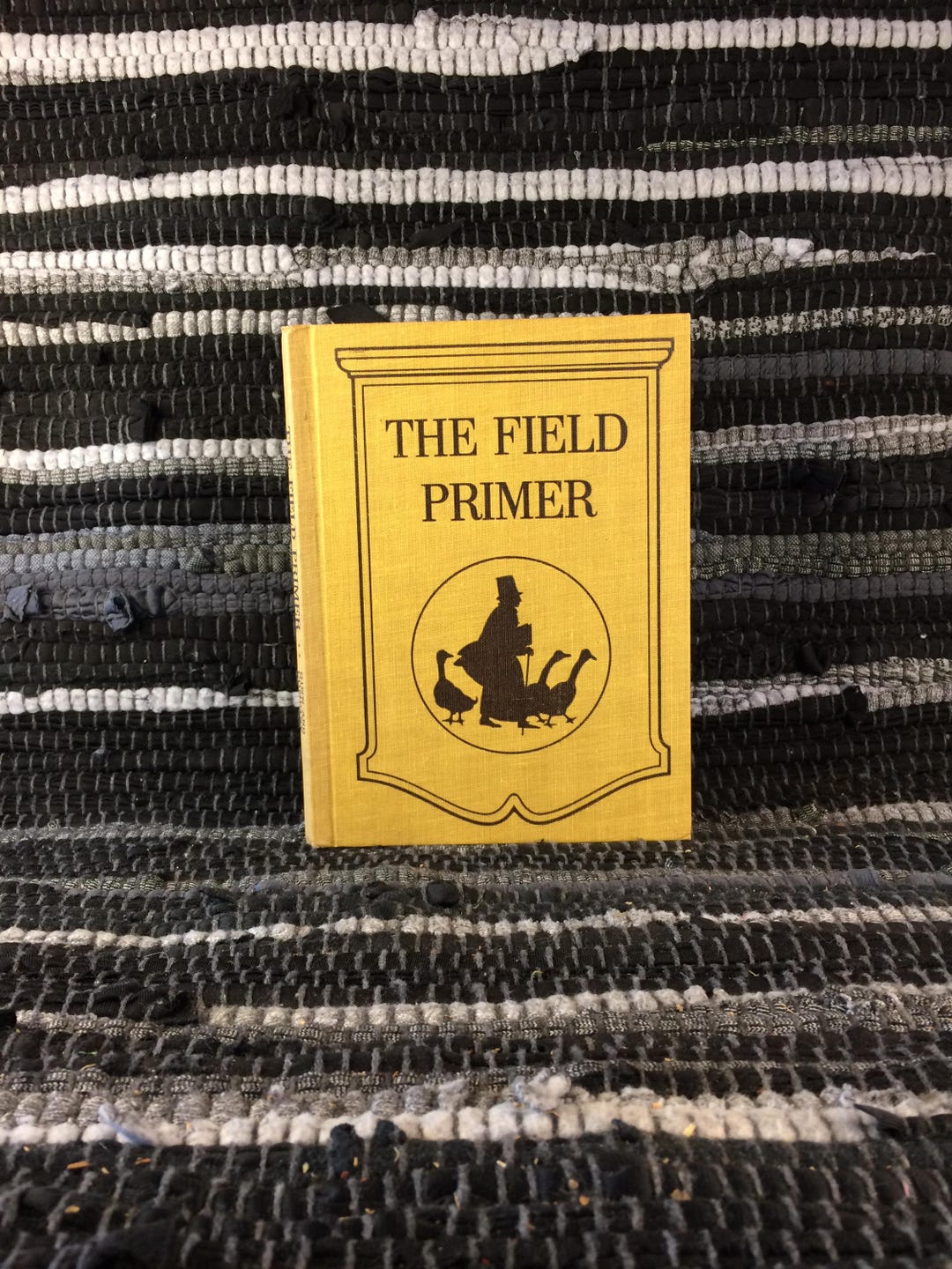 The Field Primer, a Good Plus, Early 20th Century, Illustrated ...