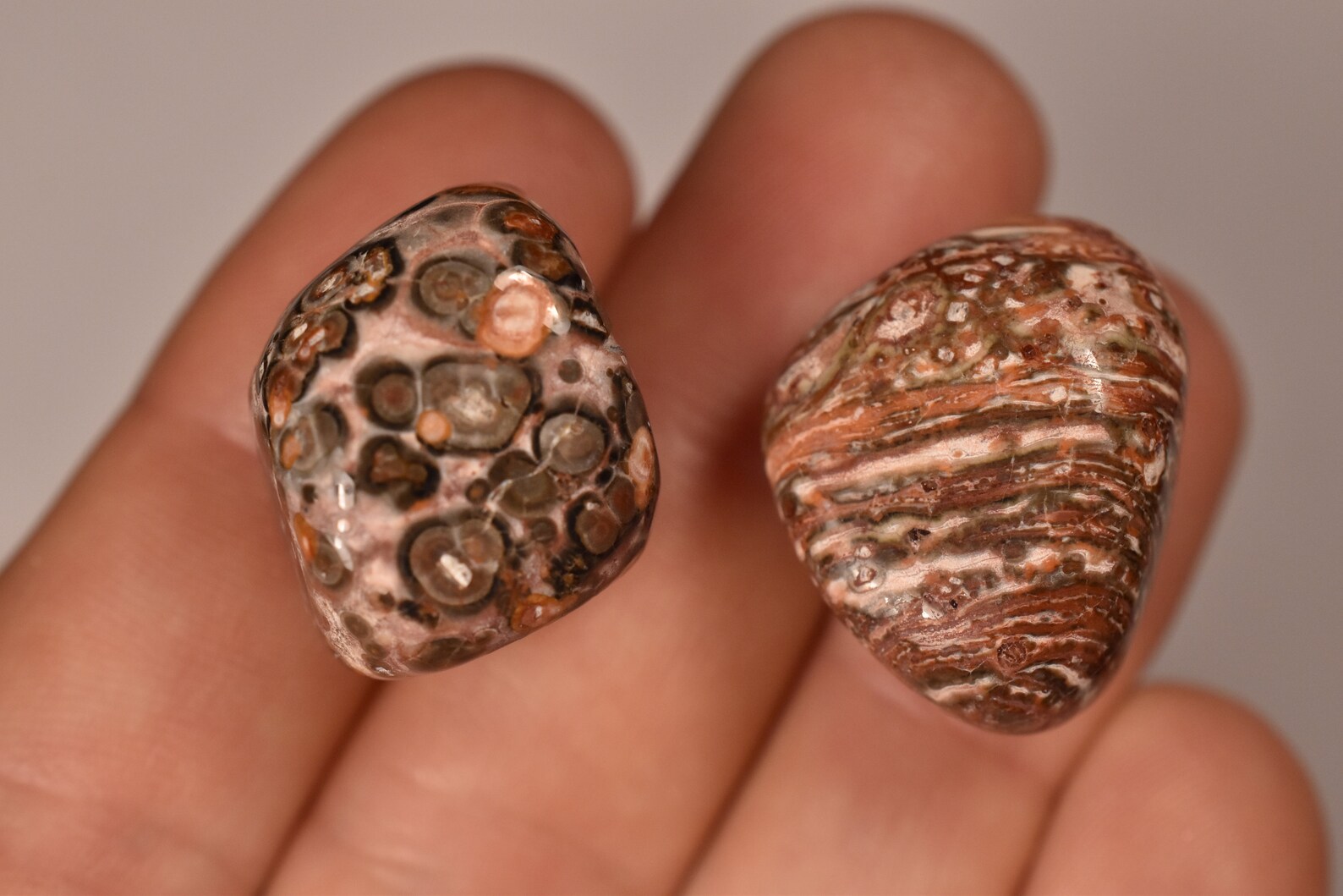 10 LEOPARD SKIN JASPER Tumbled Stones 2-3cm 88.4g Natural Polished ...