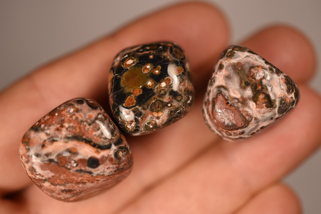 3 LEOPARD SKIN JASPER Tumbled Stones 2cm 30.5g Natural Healing Crystals ...
