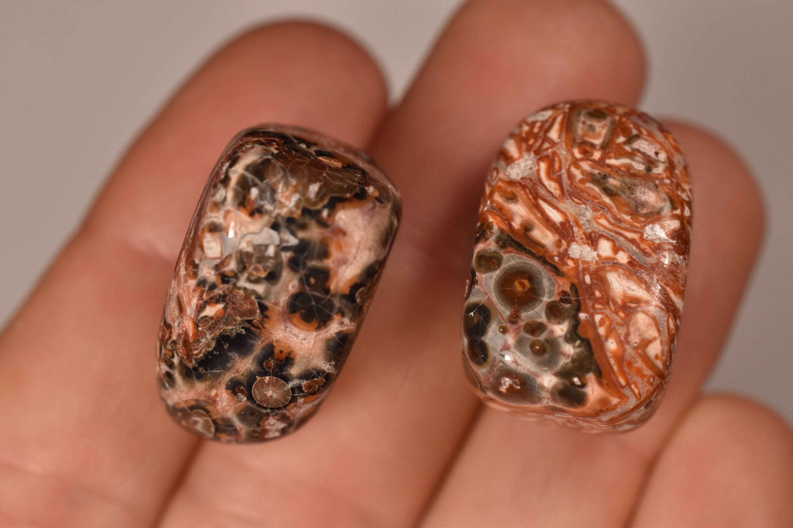 10 LEOPARD SKIN JASPER Tumbled Stones 2-3cm 88.4g Natural Polished ...