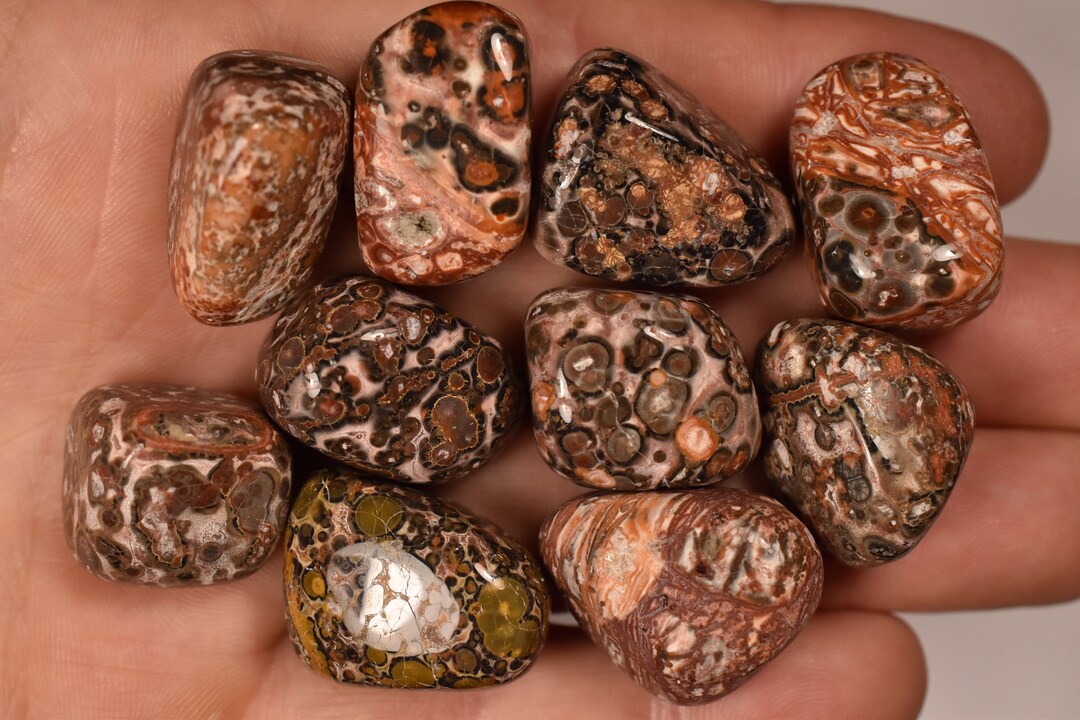 10 LEOPARD SKIN JASPER Tumbled Stones 2-3cm 88.4g Natural Polished ...