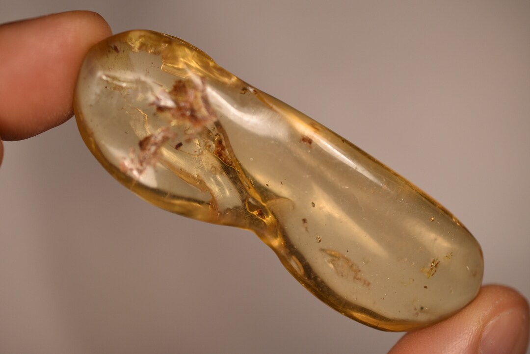 AMBER Specimen 7.3cm 15g With Insect Natural Fossil Resin - Etsy