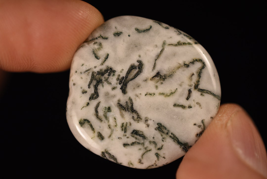 TREE AGATE Flat Stone 3.1cm 8.8g Palm Natural Stone - Etsy