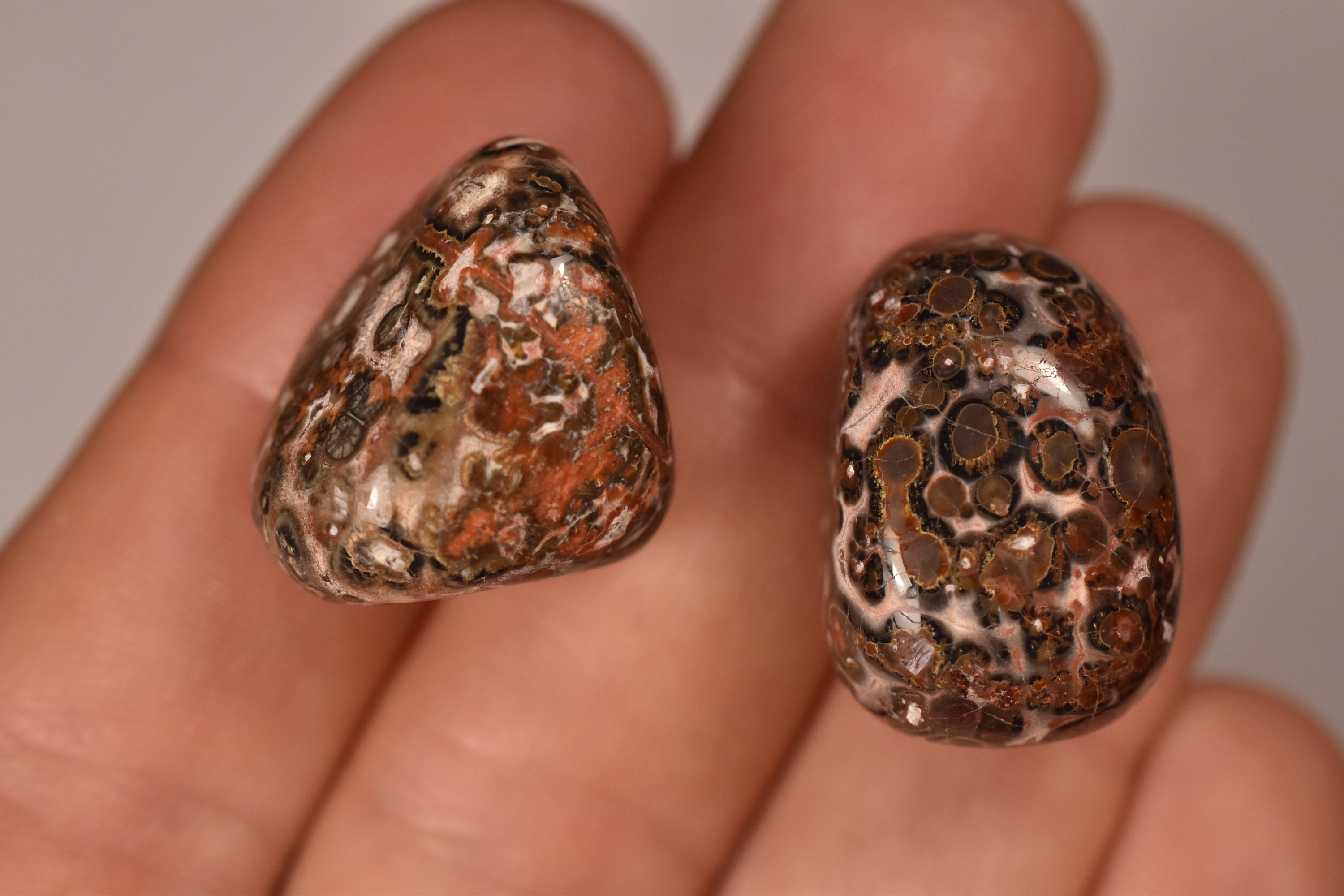 10 LEOPARD SKIN JASPER Tumbled Stones 2-3cm 88.4g Natural Polished ...