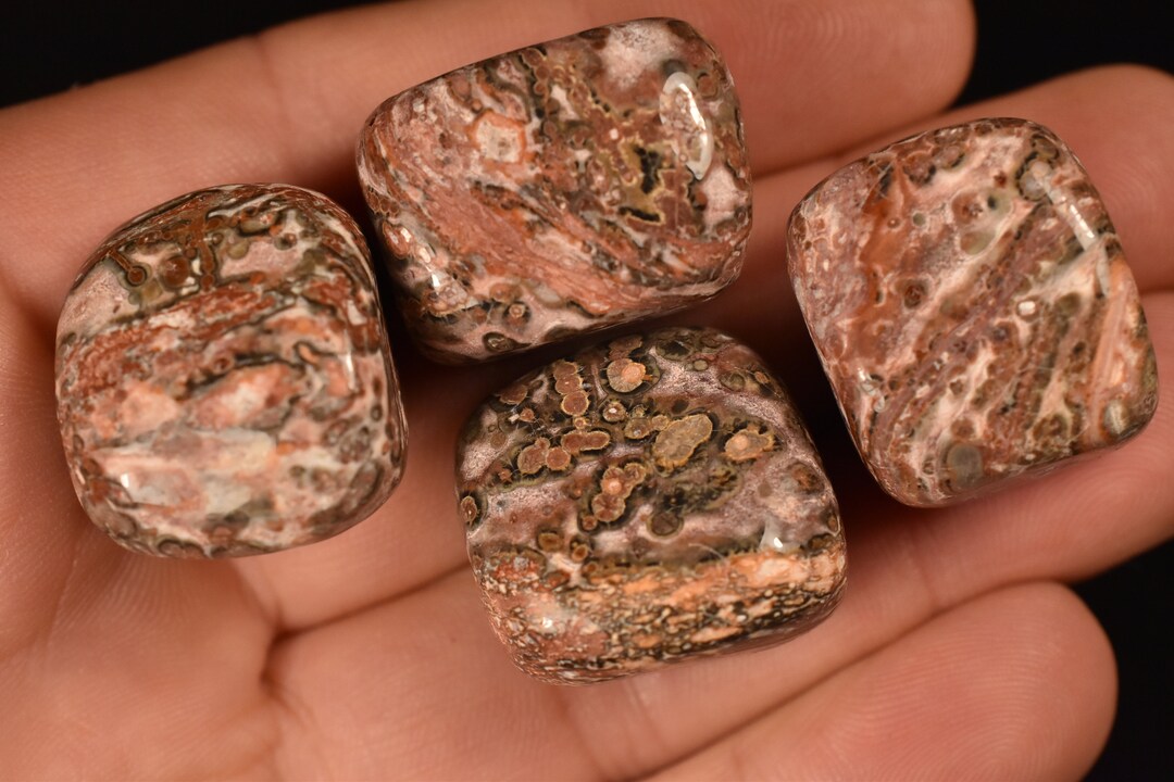 4 LEOPARD SKIN JASPER Tumbled Stones 2.5cm 52.4g Natural Polished ...