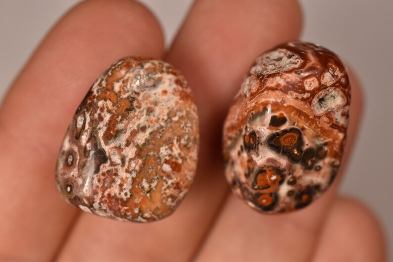 10 LEOPARD SKIN JASPER Tumbled Stones 2-3cm 88.4g Natural Polished ...