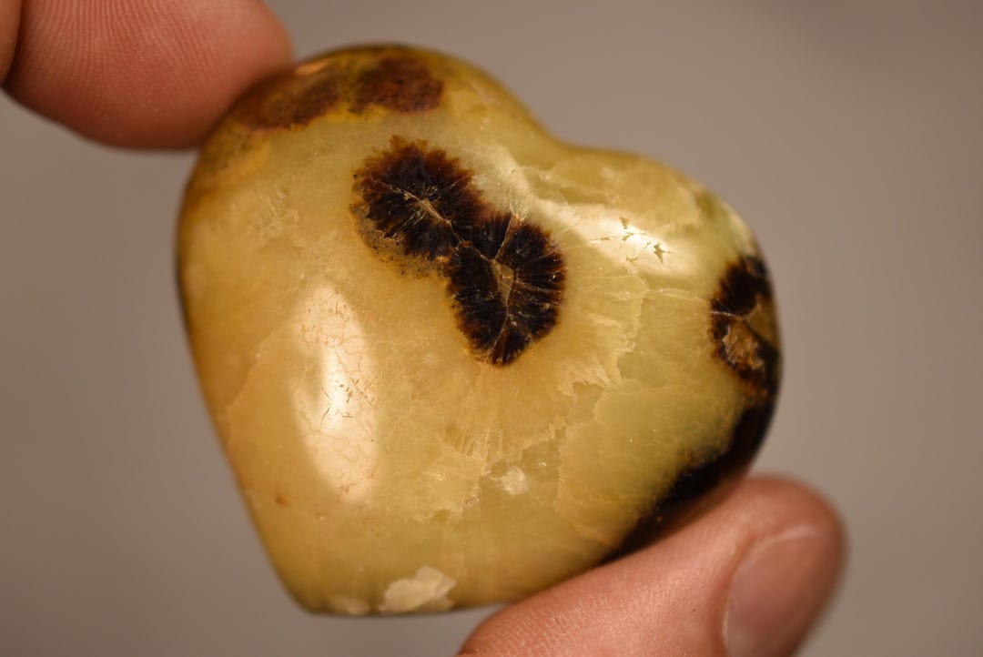 SEPTARIAN NODULE Heart 5.1cm 70g Natural Stone - Etsy