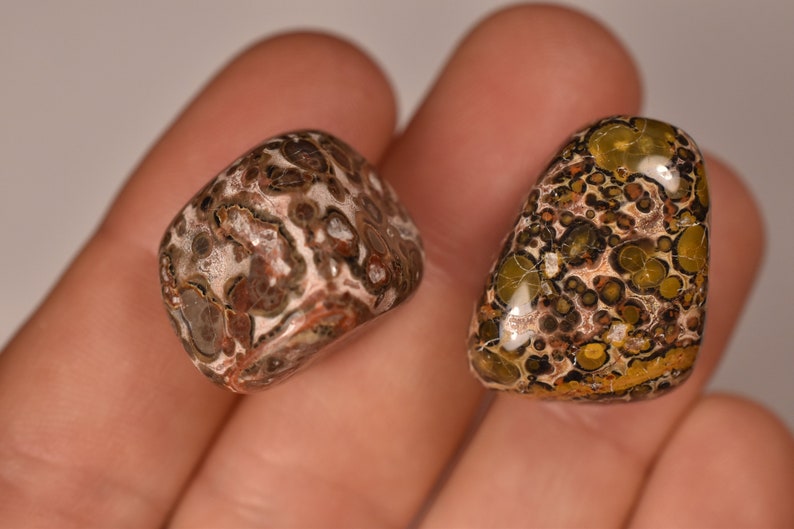 10 LEOPARD SKIN JASPER Tumbled Stones 2-3cm 88.4g Natural Polished ...