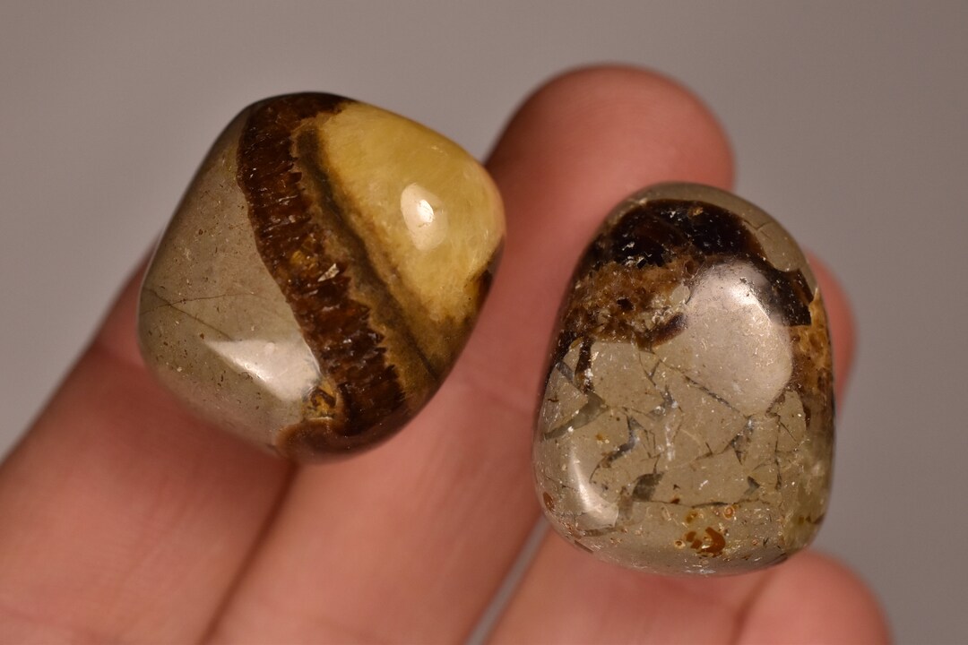 2 SEPTARIAN NODULE Tumbled Stones 2.5cm 34.3g Genuine Stones Natural ...