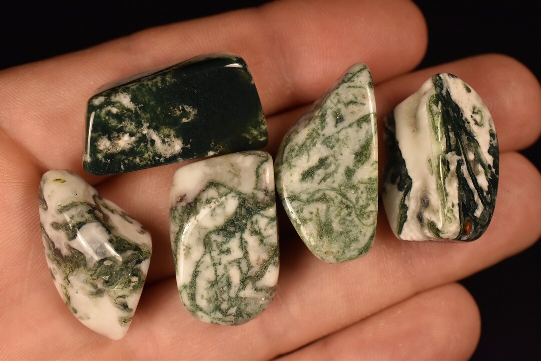 5 TREE MOSS AGATE Tumbled Stones 1-3cm 37.1g Genuine Stones Natural ...