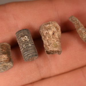 20 CRINOID Fossils 1-2cm 22.3g Genuine Specimens Natural Crinoids - Etsy