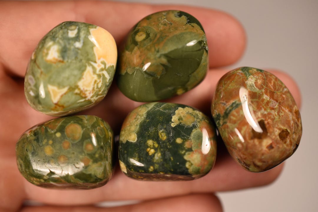 5 RHYOLITE Tumbled Stones 2-3cm 72g Rainforest Jasper Natural Stone - Etsy