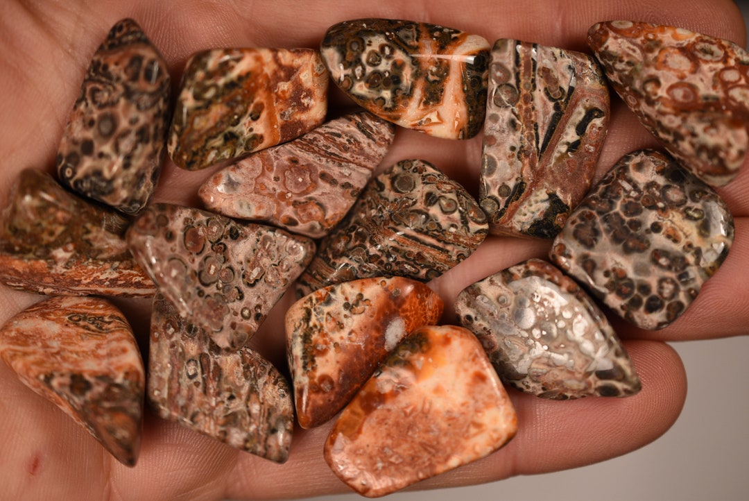 15 LEOPARD SKIN JASPER Tumbled Stones 2-3cm 61.4g Natural Stone - Etsy