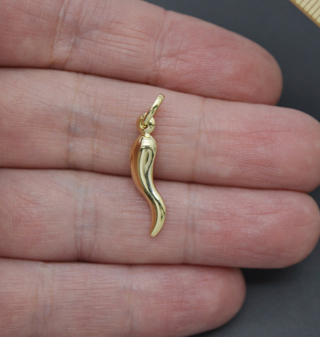 Real 10K Solid Yellow Gold Shiny Good Luck Cornicello Italian Horn ...