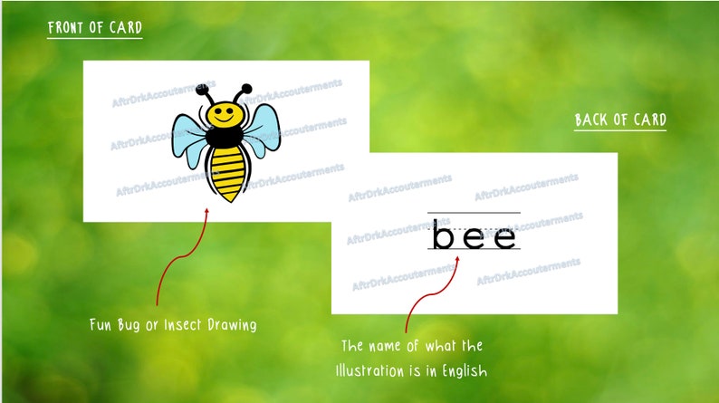 English Bugs & Insects Flashcards-digital - Etsy Israel