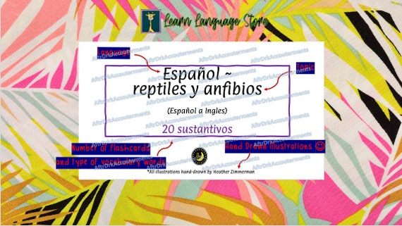 Spanish Reptiles & Amphibians Flashcards - Etsy