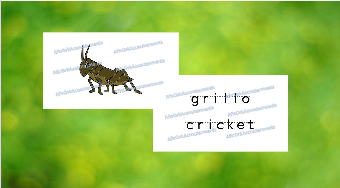 Fichas de Bichos e Insectos Españoles - Etsy México