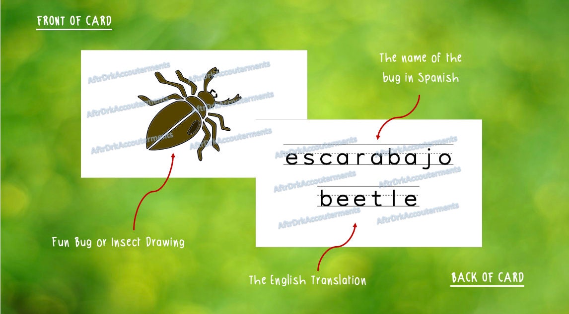 Fichas de Bichos e Insectos Españoles - Etsy México