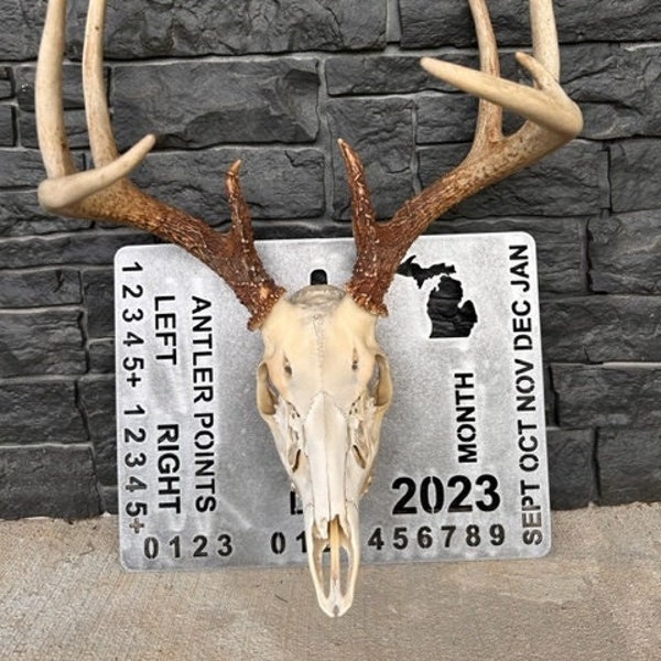 European Mount - Etsy