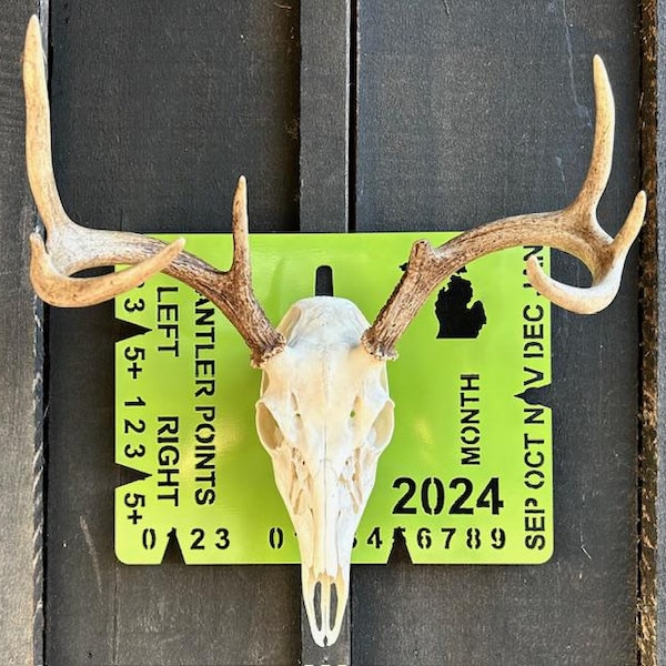 European Mount - Etsy