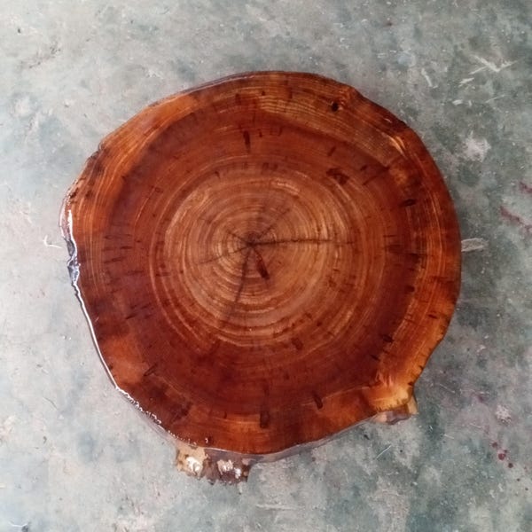 Live Edge Wood Riser - Etsy