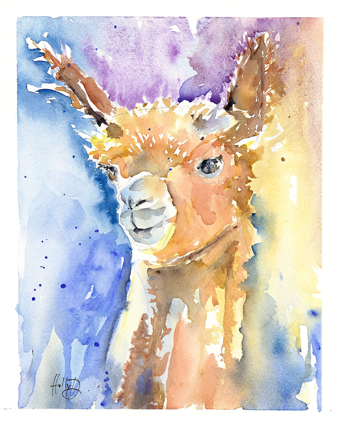 Peruvian Al Paca Painting - Fine Art Print - Original Watercolour ...