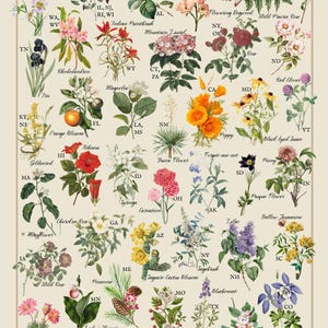 Vintage State Flower Print - Etsy