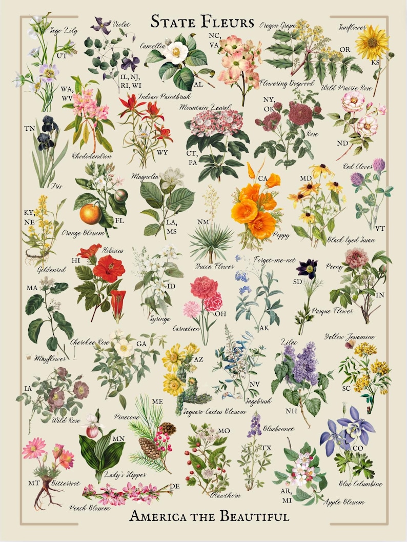Vintage State Flower Print - Etsy
