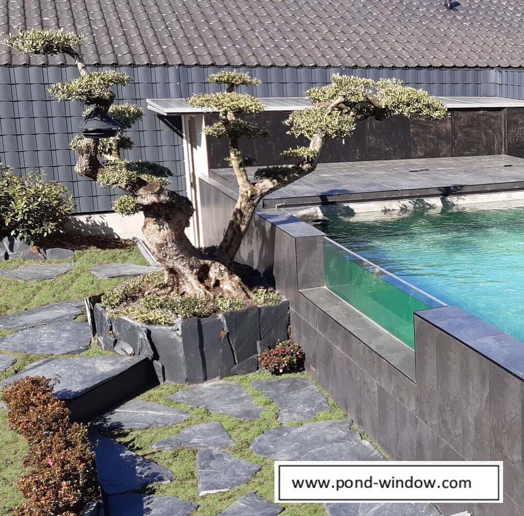 Garden Aquarium / Pond Window - Etsy