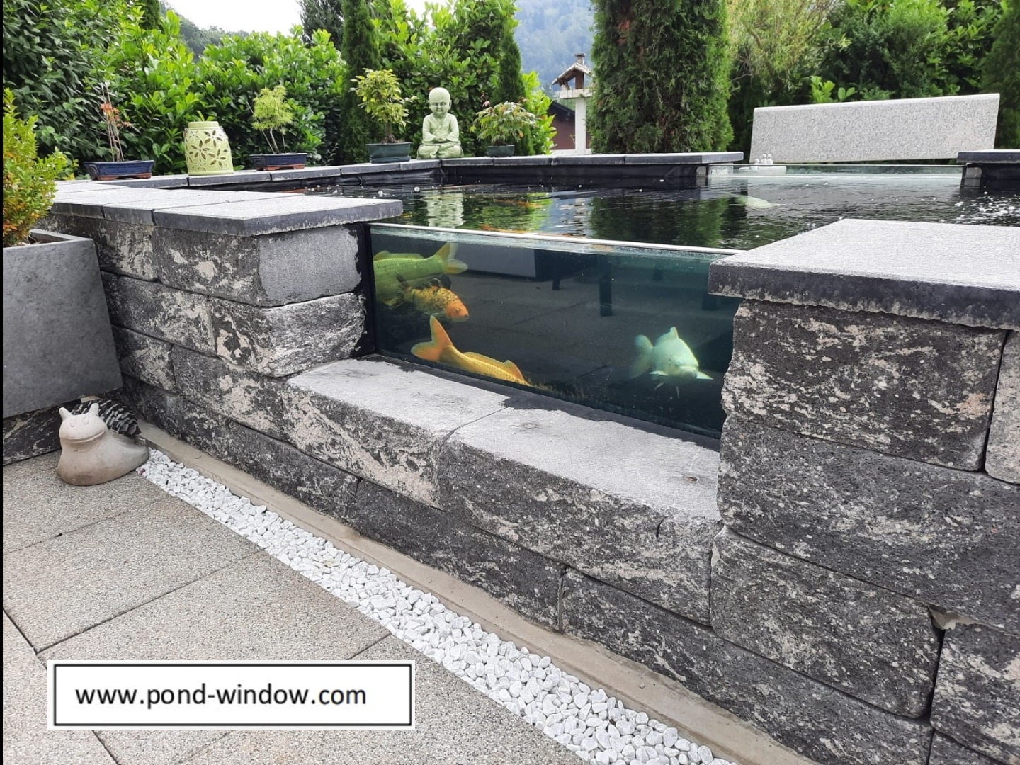 Garden Aquarium / Pond Window - Etsy