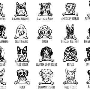 Laser Engraved Custom Dog Name Ornament Personalized Pet - Etsy