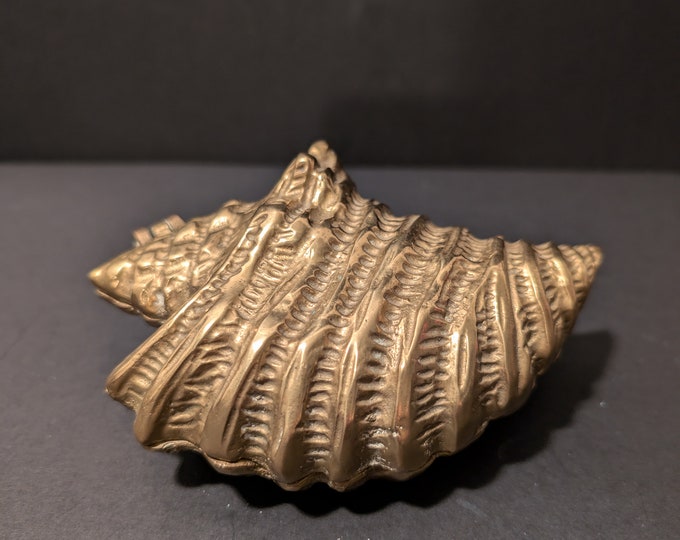 Brass Shell, Hinged - Etsy