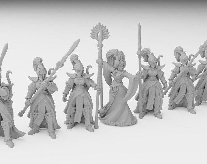 Elven Army Mage Queen and Bodyguard Ilhadiel High Elf - Etsy