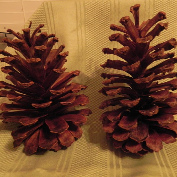 Extra Large Pine Cones - Etsy