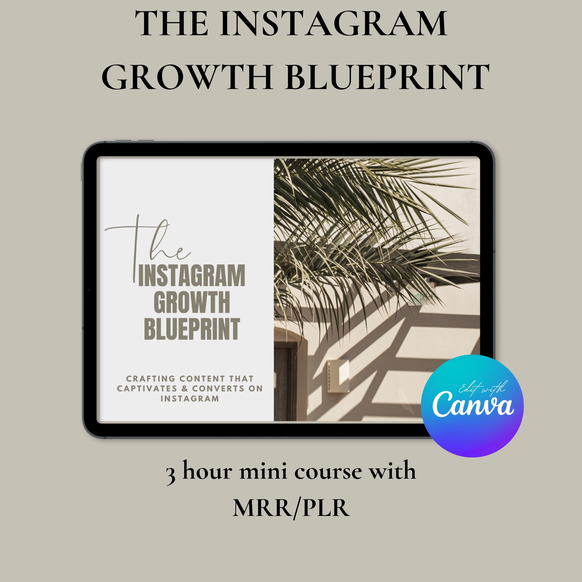 The Instagram Growth Blueprint Mini Course With Master Resell Rights ...