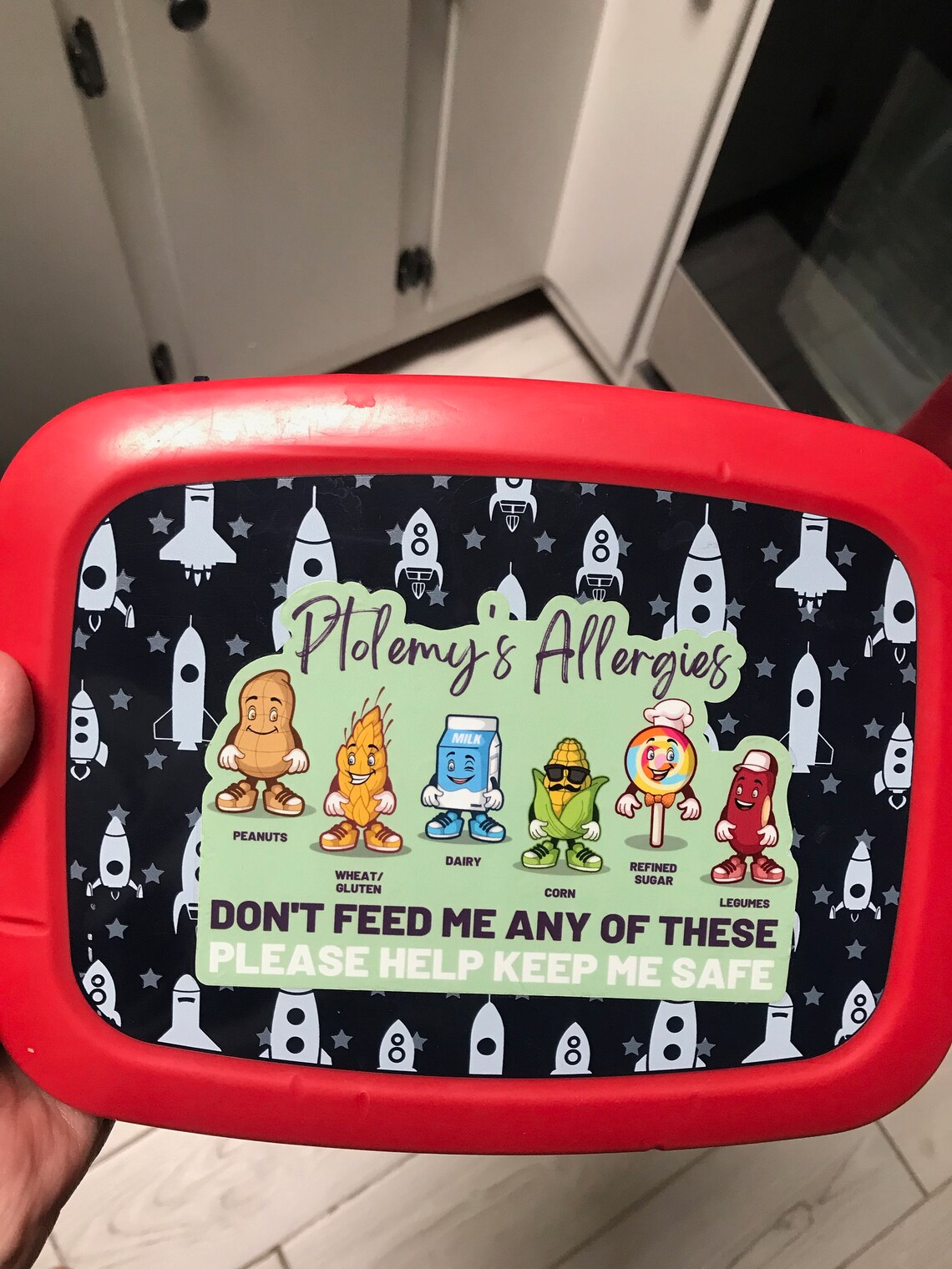 Custom Food Allergy Stickers for Lunch Boxes Labels School - Etsy