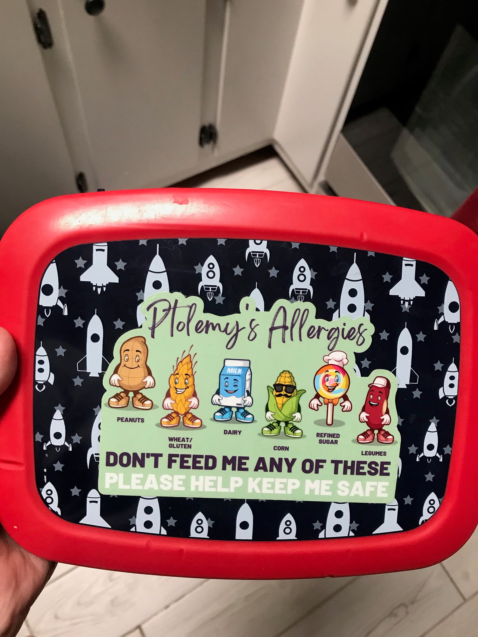 Custom Food Allergy Stickers for Lunch Boxes Labels School - Etsy