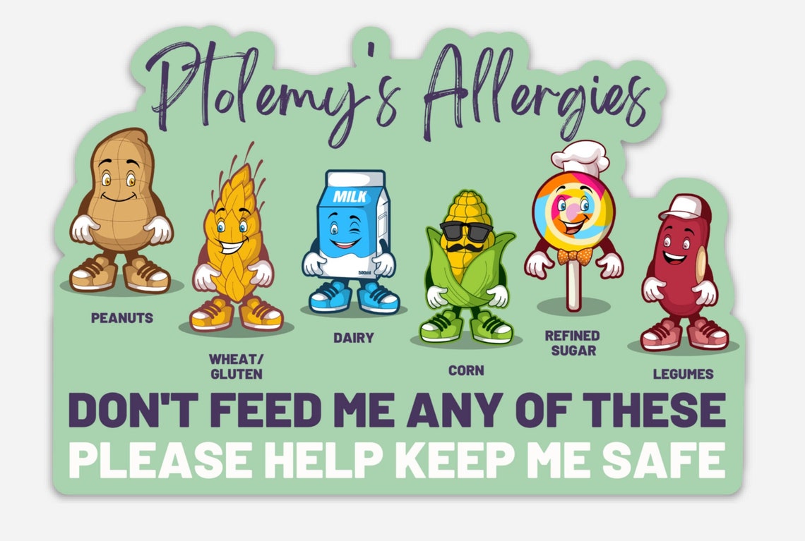 Custom Food Allergy Stickers for Lunch Boxes Labels School - Etsy