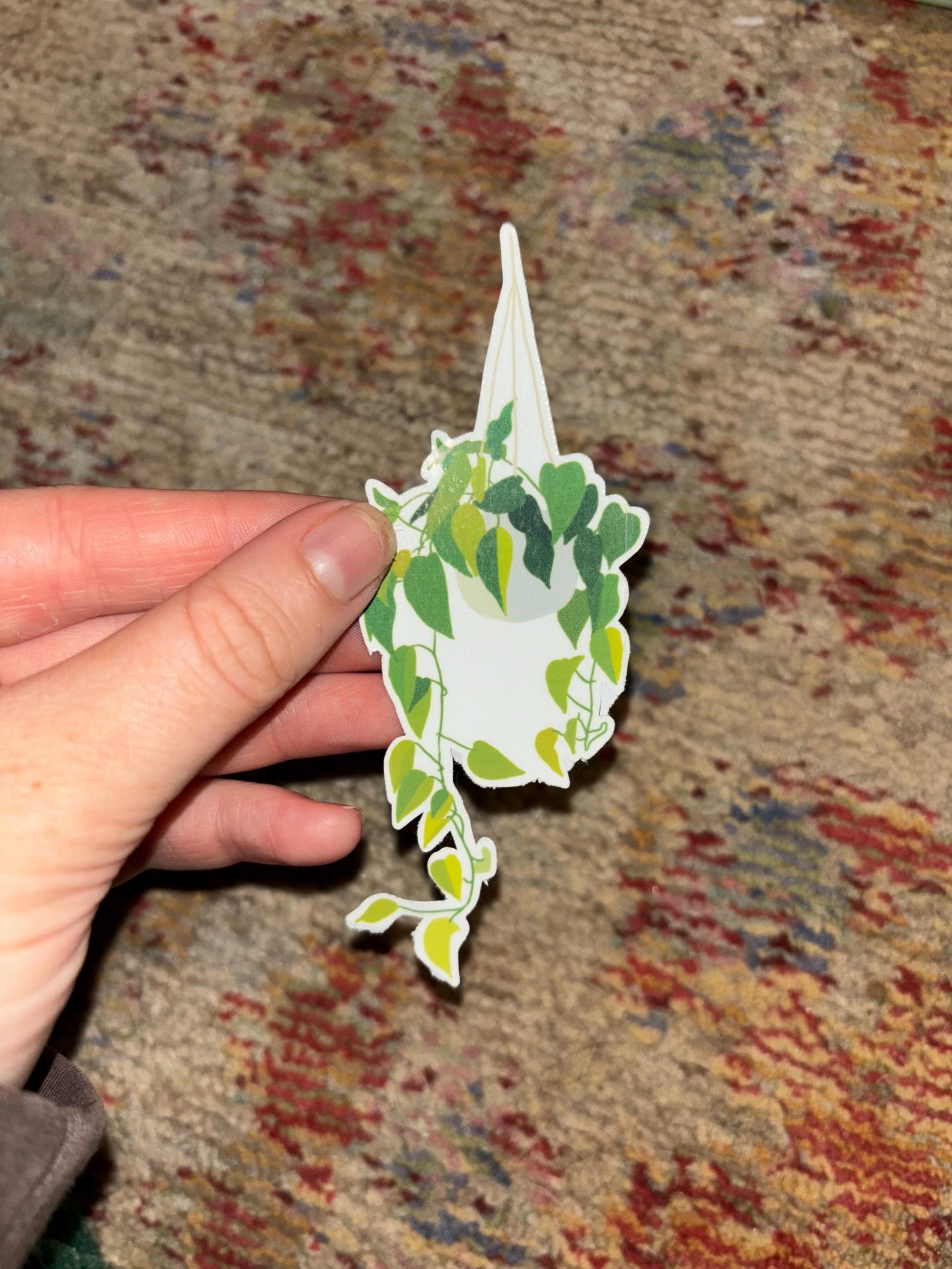 Hanging Plant Sticker, Pothos Plant Sticker, Summer Sticker, Plant ...