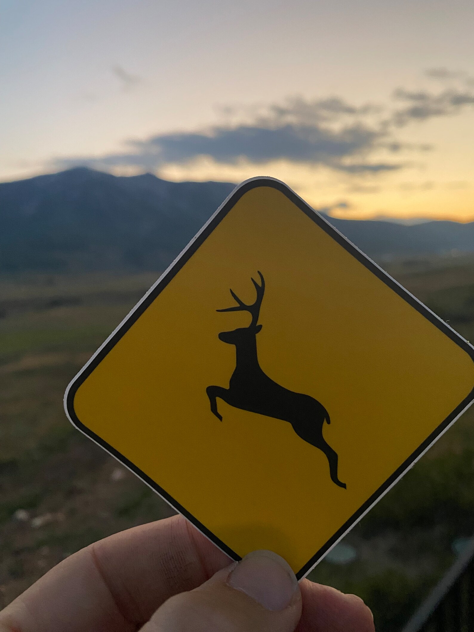 Mule Deer Crossing Sticker - Etsy