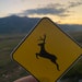 Mule Deer Crossing Sticker - Etsy