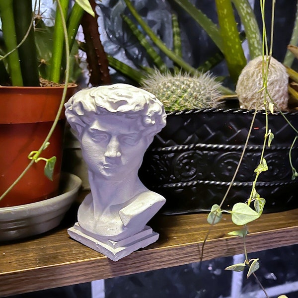 Bust Planter - Etsy