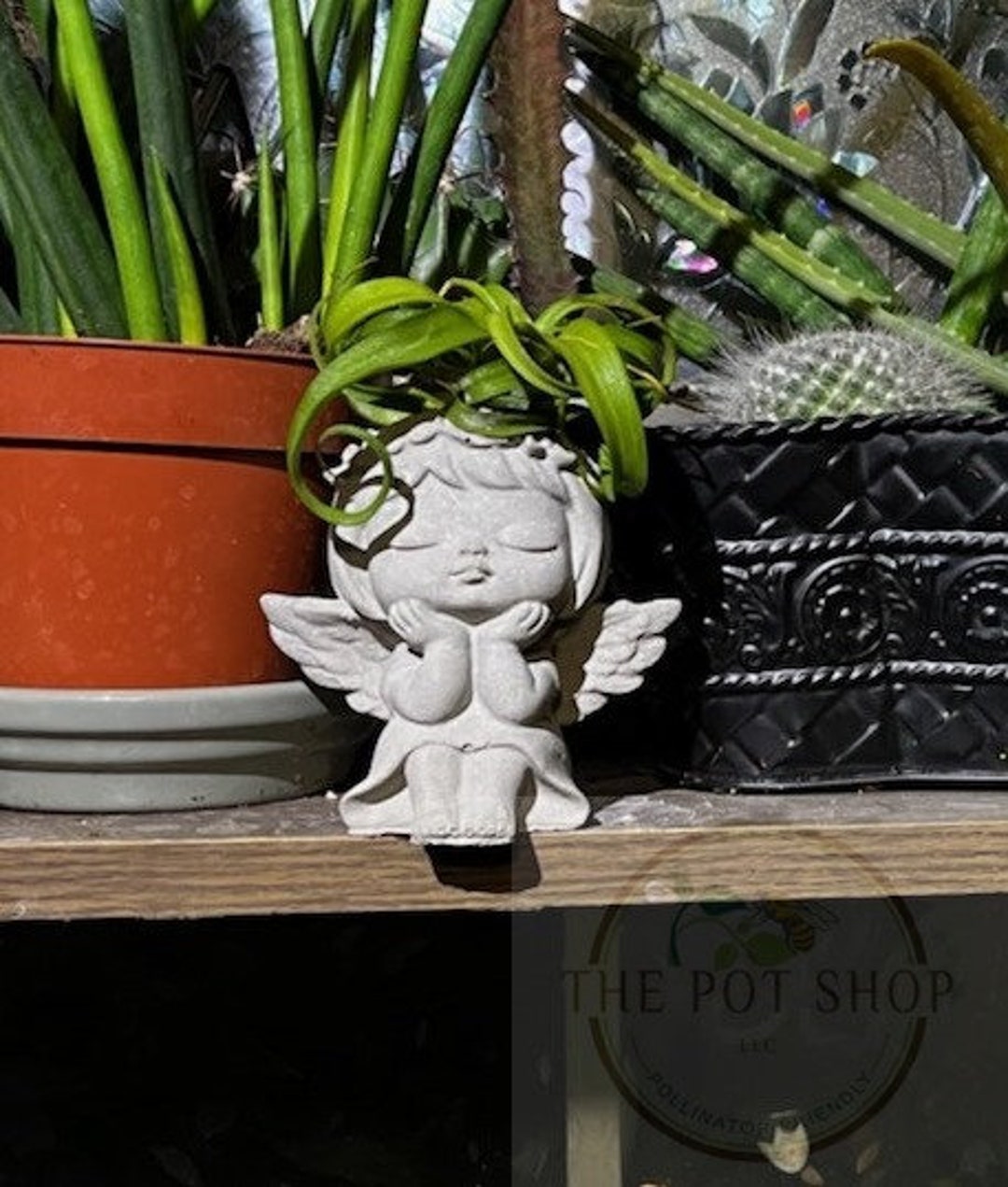 Sweet Angel (pot)| Face Pot| Container| Praying Pot| Flower Pot| Bust ...