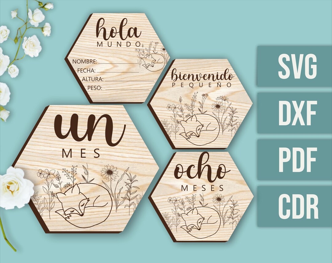 Laser Cut Digital File - Spanish Fox / Zorro Baby Milestone Cards - Etsy