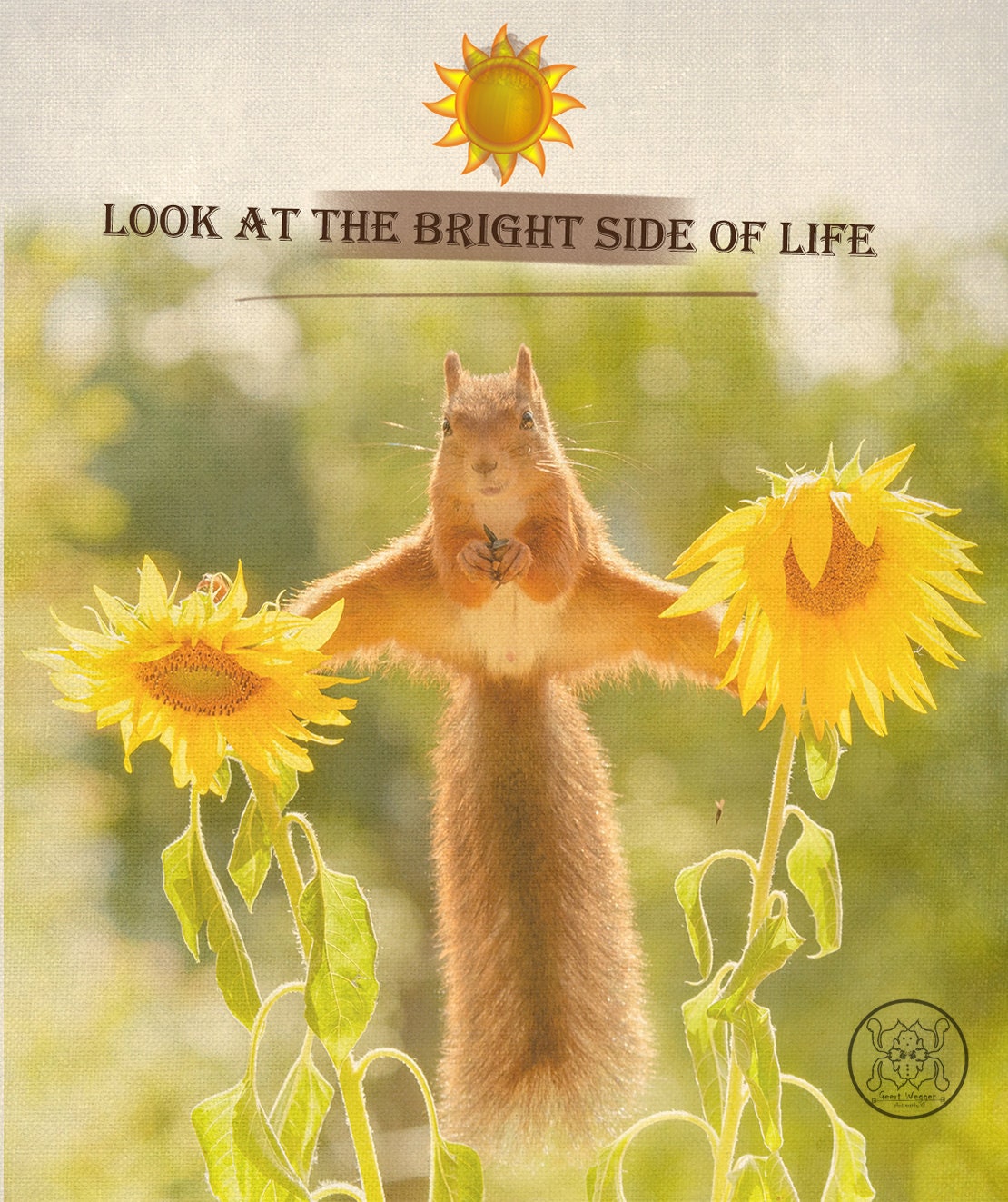 Squirrel Wisdom I & II Books With Awarded Photos - Etsy